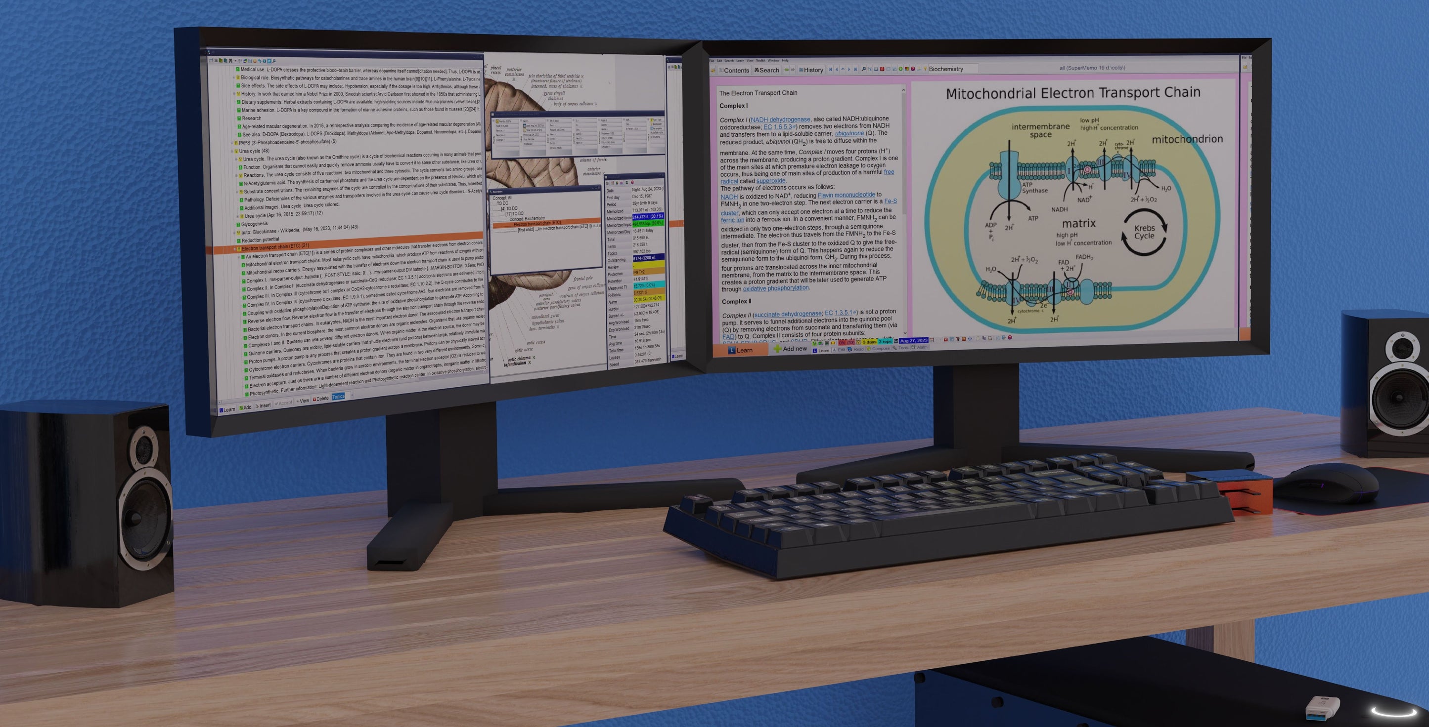 SuperMemo 19 for Windows – SuperMemo Store